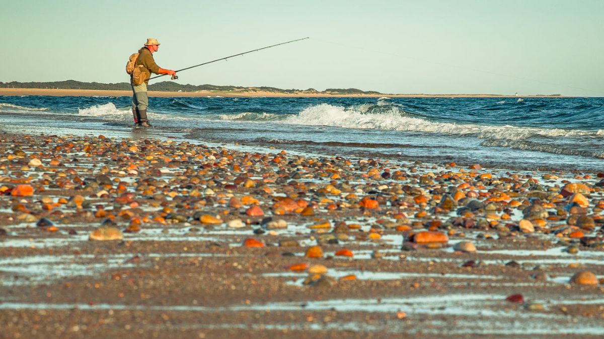 The Best Beach Fishing Spot on Cape Cod? – The Mighty Fish