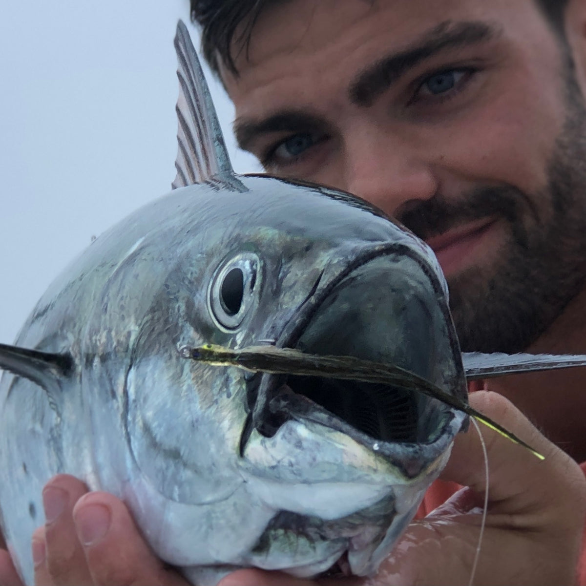 Albie and Bonito Favorites – The Mighty Fish