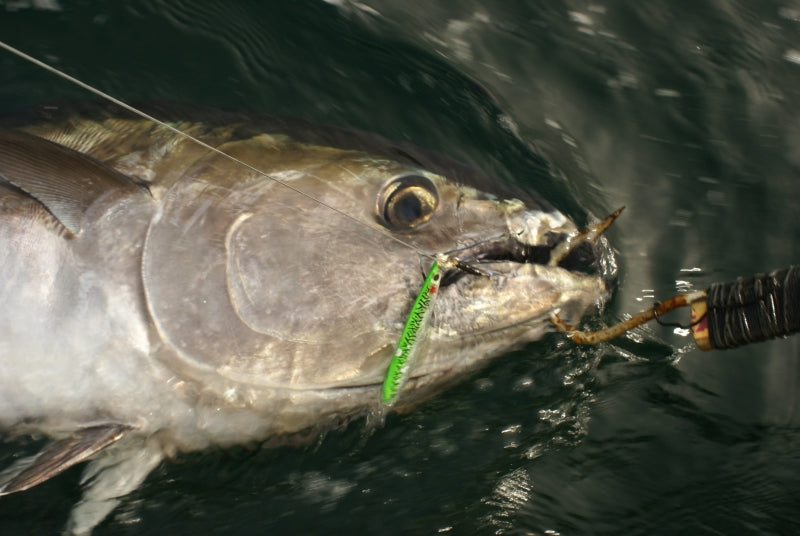Tuna Vertical Jig – The Mighty Fish