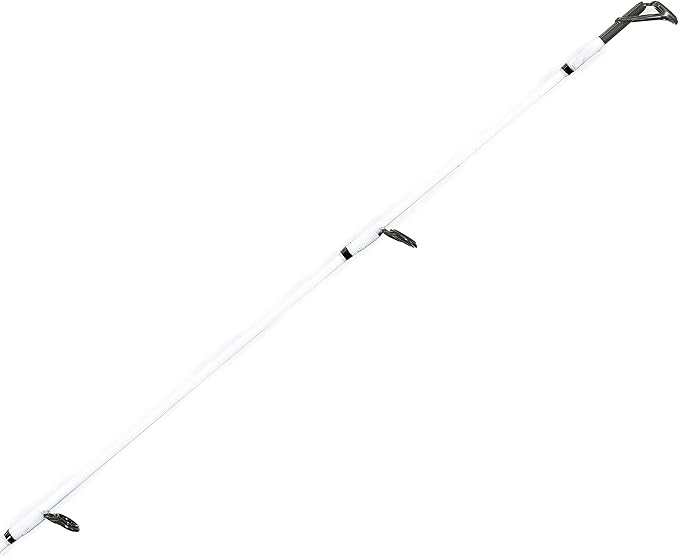 Dark Matter Fish Hawk Spinning Rod 6'0" L F 4-8 LB – The Mighty Fish