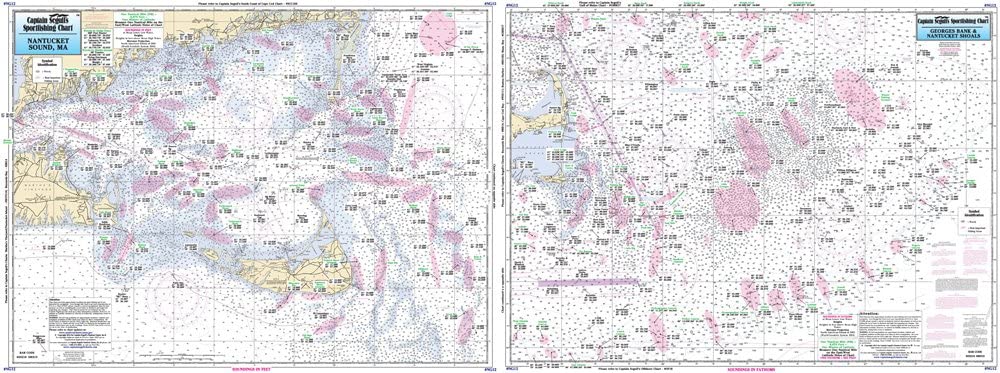 CAPTAIN SEGULL'S NAUTICAL CHART – The Mighty Fish