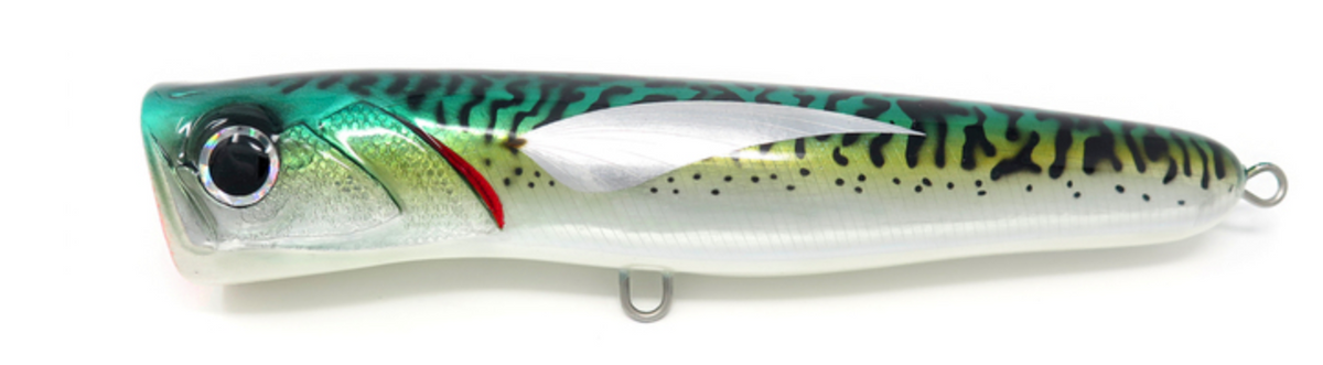 JACK FIN KRONOS 220 – The Mighty Fish